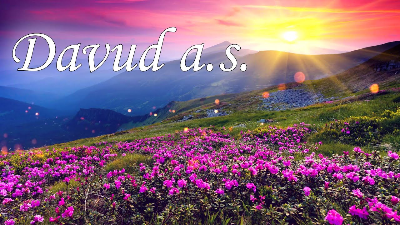 Kazivanje o Davudu a.s. - II dio - Džemat Donje Vukovije